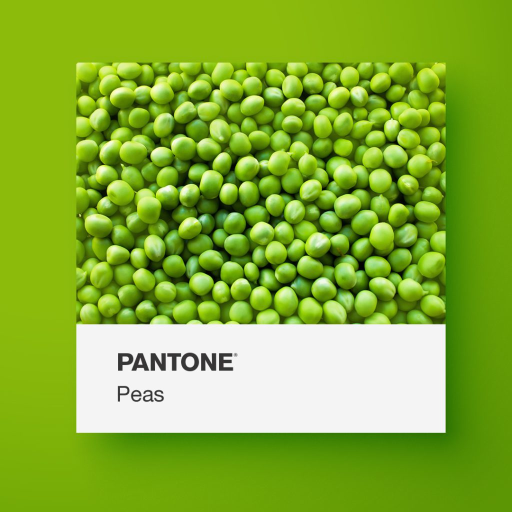 Yeşil Rengin Tasarımda Anlam ve Etkileri - Slayt | Hedza